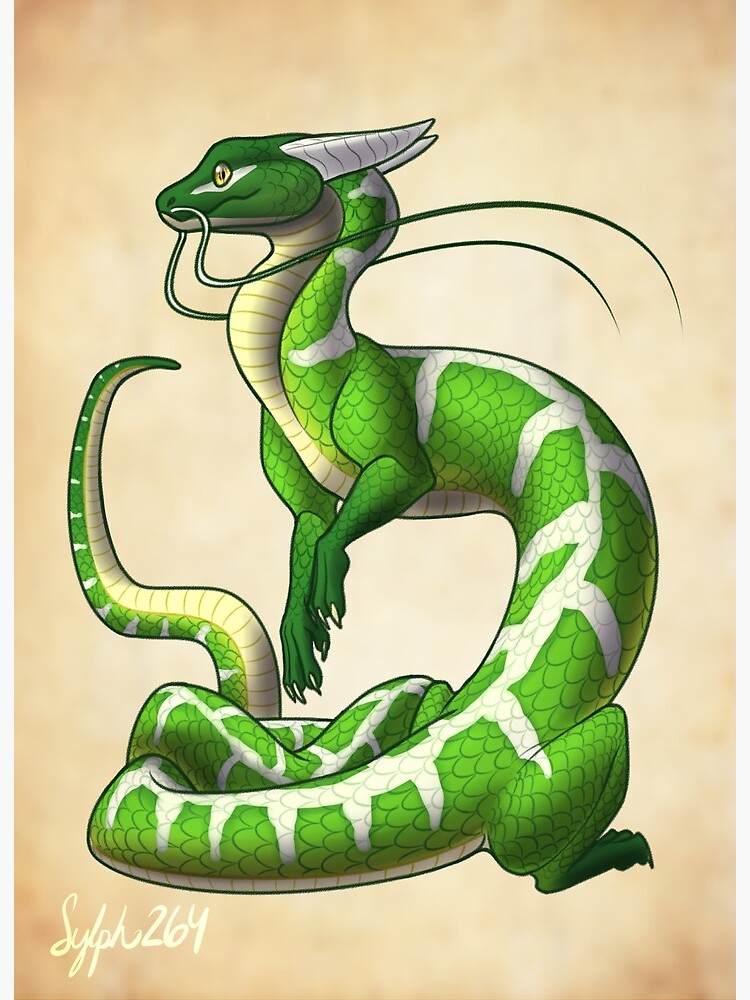 "Tree Boa Dragon" Art Board Print for Sale by Sylph264 | Redbubble