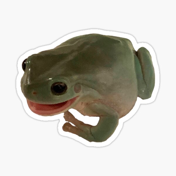 "Screaming Tree Frog" Sticker for Sale by queen031 | Redbubble
