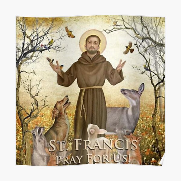 " Saint Francis of Assisi, Francis of Assisi, friar, san Francesco ...