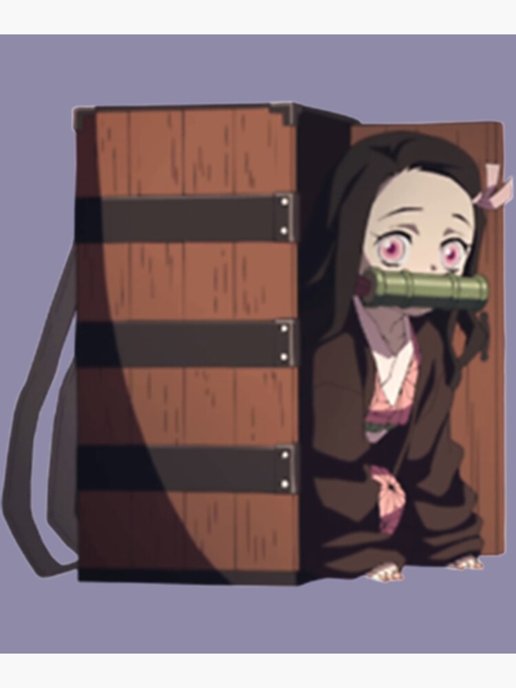 "Box nezuko - Demon Slayer " Photographic Print by FlowerGardens ...