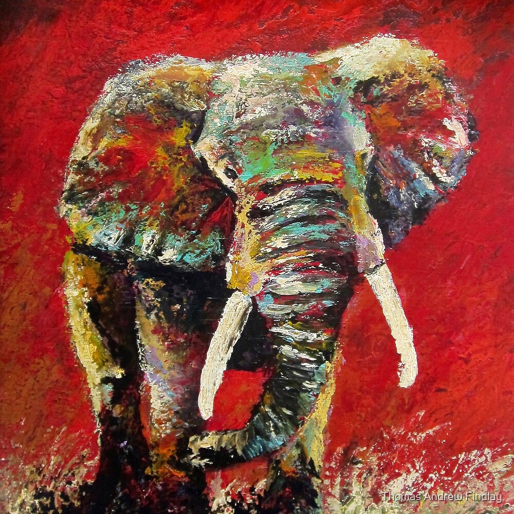 "A Crimson Charge by Thomas Andrew" by Thomas Andrew Findlay | Redbubble