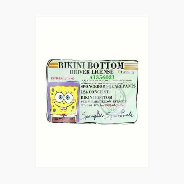 "spongebob's driver license" Art Print for Sale by hardinft | Redbubble
