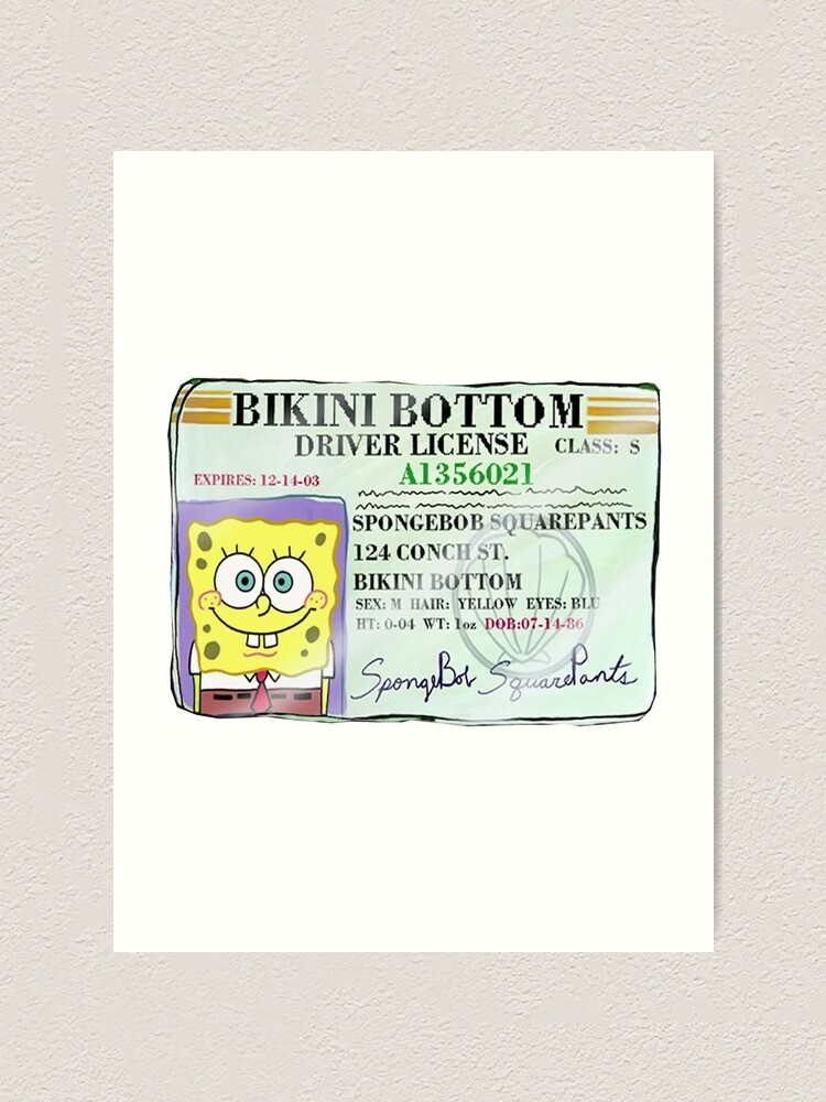 "spongebob's driver license" Art Print for Sale by hardinft | Redbubble