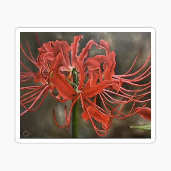 "Red Spider Lily" Sticker for Sale by kgrace97 | Redbubble