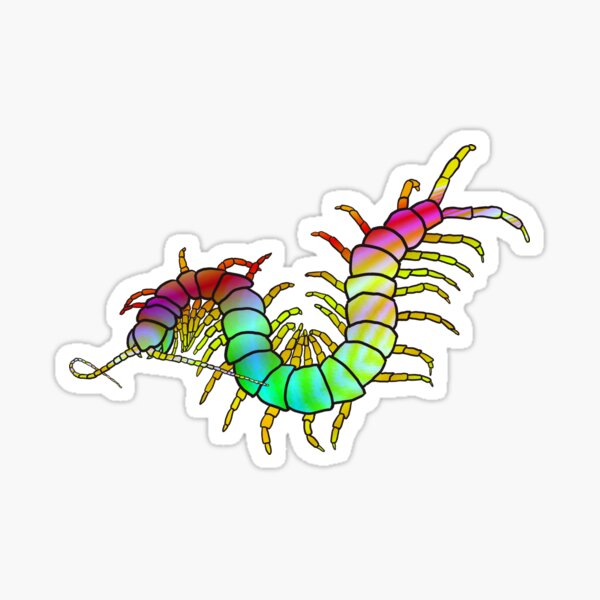 "Pretty Iridescent Centipede" Sticker by techno-mantis | Redbubble