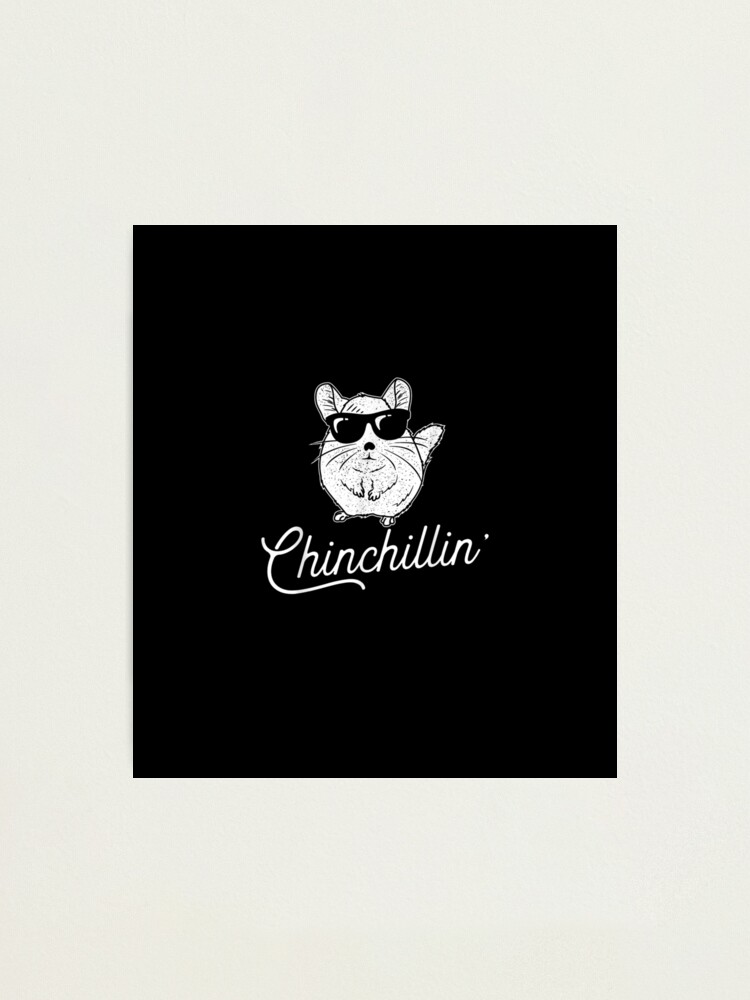 "Chinchillin Funny Chinchilla Lovers" Photographic Print for Sale by ...