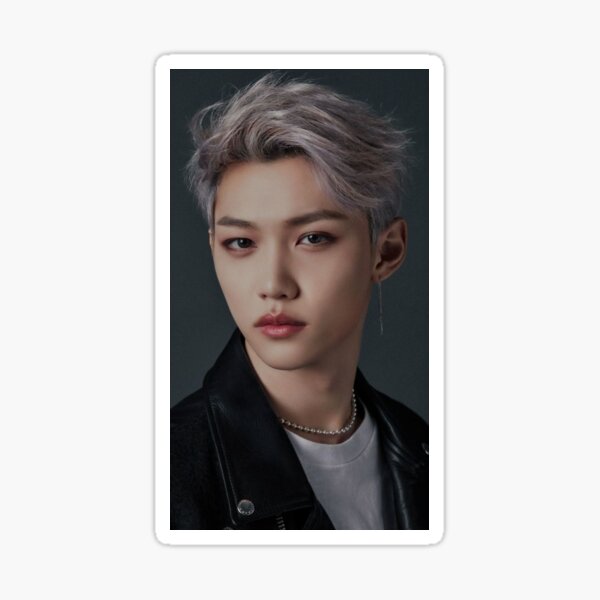 "Lee Felix" Sticker for Sale by lungavitaklance | Redbubble