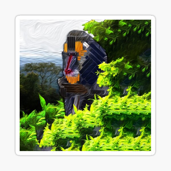 "Baboon" Sticker for Sale by Emily-Sue-Crew | Redbubble