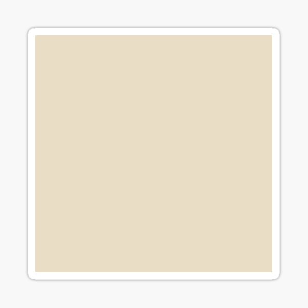 "Beige Solid Color" Sticker for Sale by rewstudio | Redbubble