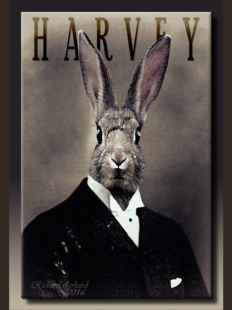 "Harvey" Essential T-Shirt for Sale by rgerhard | Redbubble