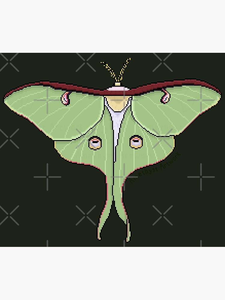 "Cute Pixel Art Luna Moth" Poster for Sale by AmethystArtwork | Redbubble
