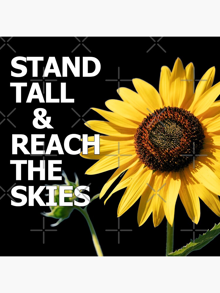 "Sunflower motivational quote stand tall reach the skies" Sticker for ...