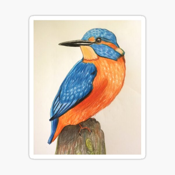 "Kingfisher" Sticker for Sale by emzillustration | Redbubble