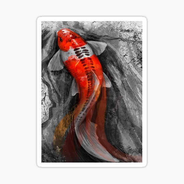 "Water Fish Carp" Sticker for Sale by darutrandu | Redbubble