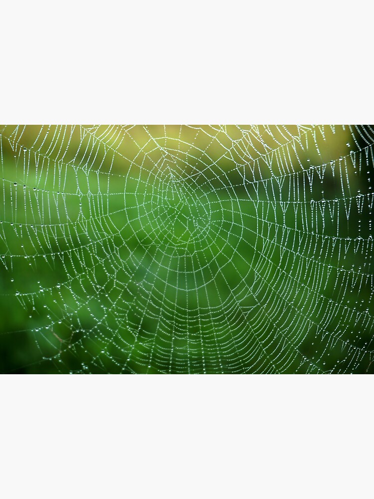 "Management Cobwebs" Sticker for Sale by GREENLINE24 | Redbubble