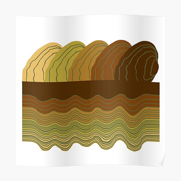 "Texas Pimpleback (Quadrula petrina)- Texas Threatened Aquatic ...