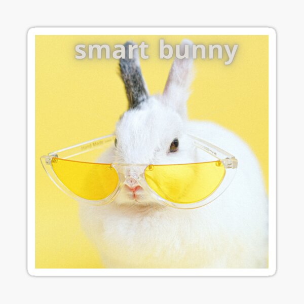 "smart bunny" Sticker by amirameme | Redbubble