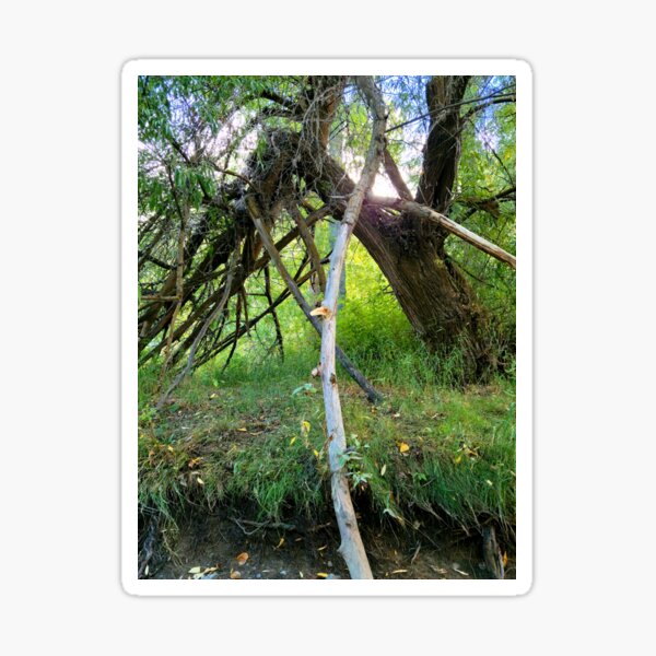 "Tree Fort" Sticker by Djjin66 | Redbubble