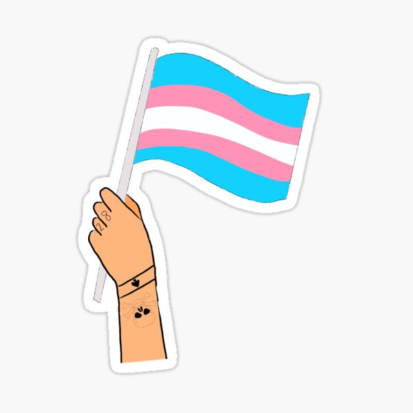 "trans flag" Sticker for Sale by lveclvb | Redbubble