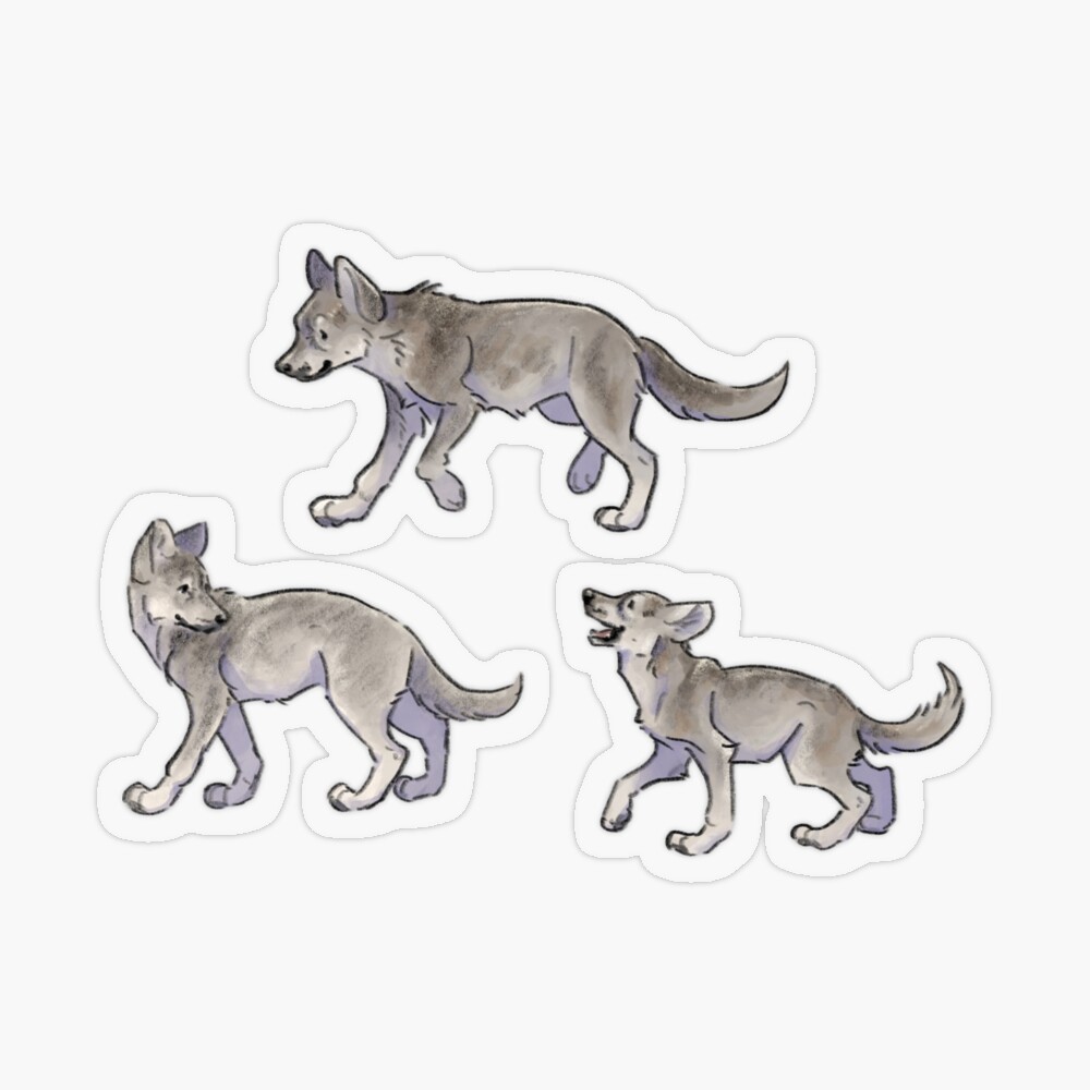 Wolf Pup Sketches