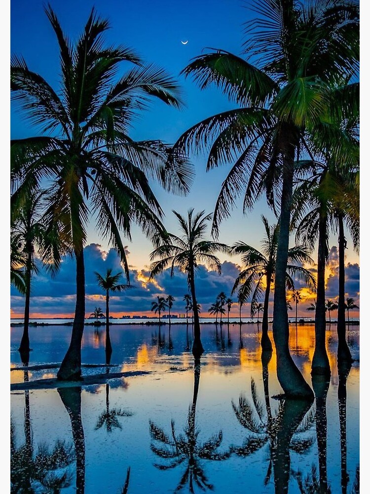 "palm tree in beach" Spiral Notebook for Sale by marketblue | Redbubble