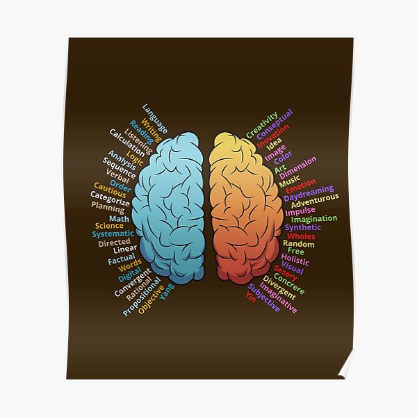 "Left and right brain" Poster for Sale by ArTips | Redbubble