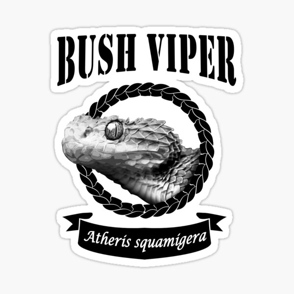 "bush viper, Atheris squamigera, african venomous snake" Sticker for ...