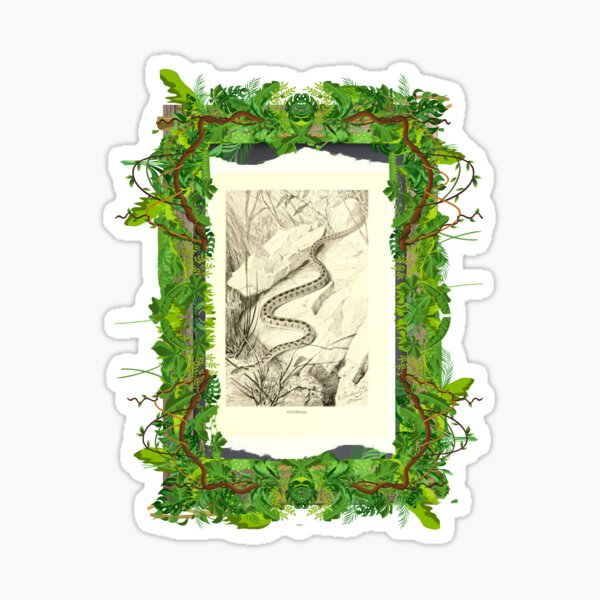 "Zoological board Snake - Zoological designs and zoology boards ...