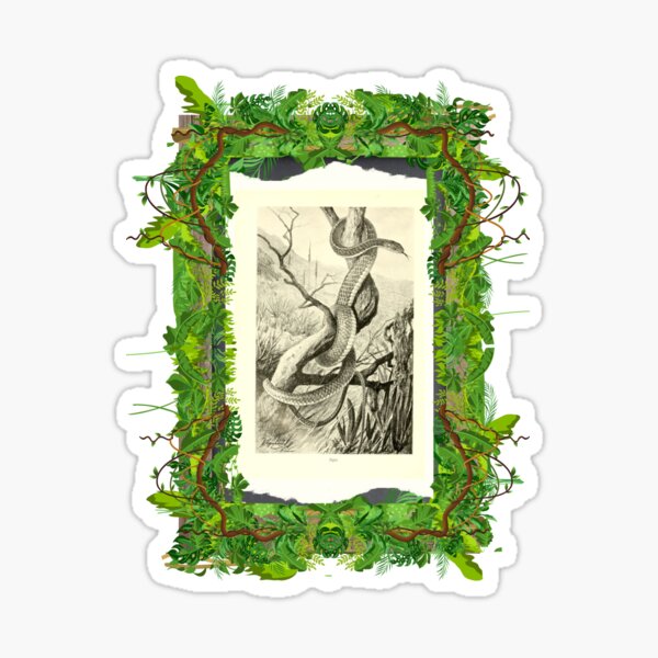 "Zoological board Sipo snake - Zoological designs and zoology boards ...