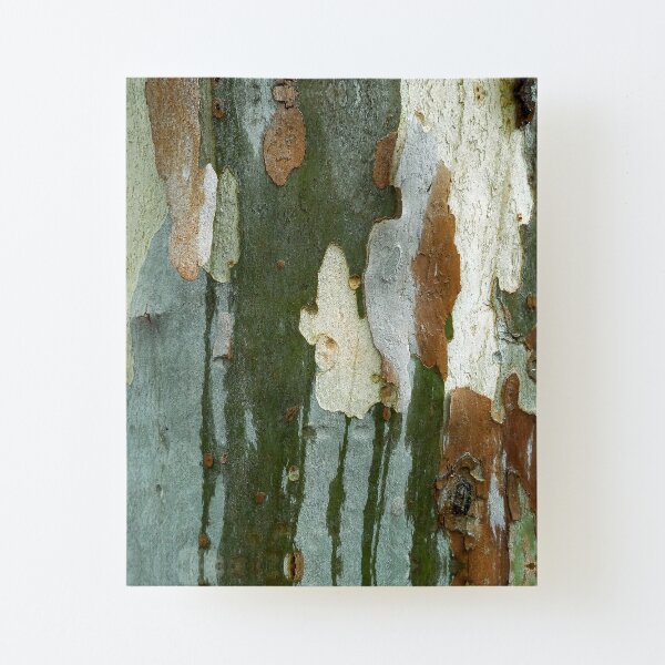 Digital Prints Print on Canvas Spotted Gum Tree Bark Art & Collectibles ...