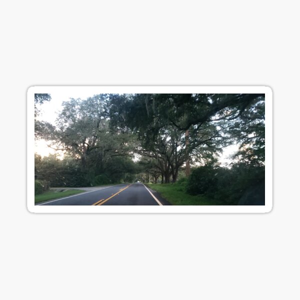 "Summerfield Florida Tree Canopy " Sticker by ZCS2014 | Redbubble