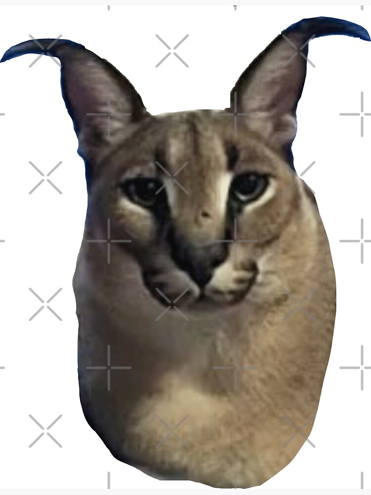 "Floppa meme" Magnet for Sale by AGZOULINES | Redbubble