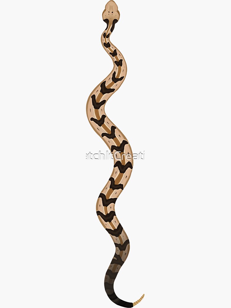 "Timber Rattlesnake" Sticker for Sale by CatchItCreation | Redbubble