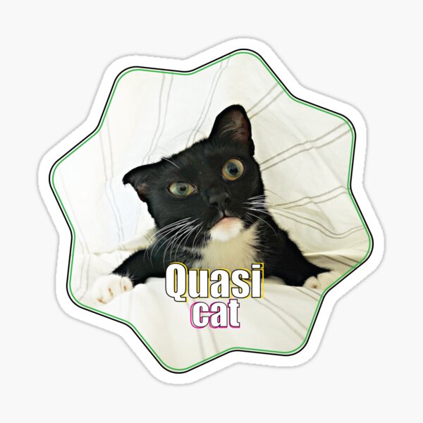 "quasi cat" Sticker by Phoenixio | Redbubble