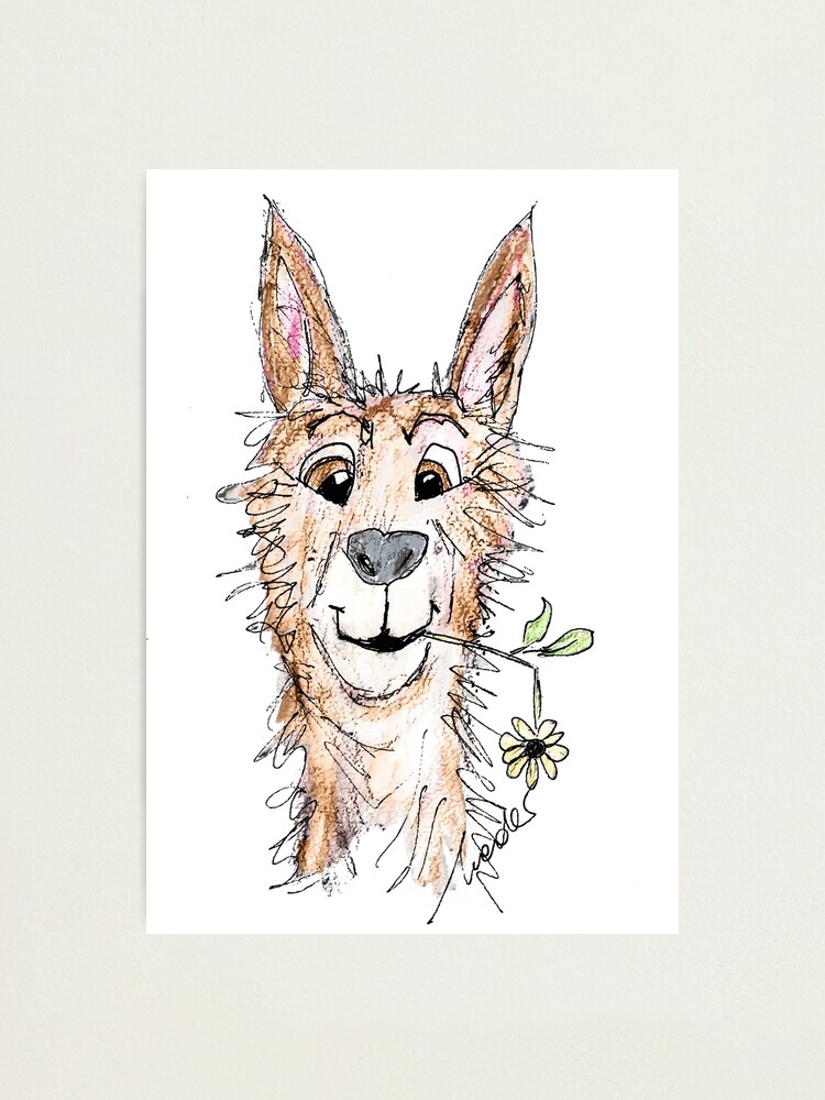 "Das Lama spuckt nicht wenn es Blumen kaut by Heidi Eder" Fotodruck von ...