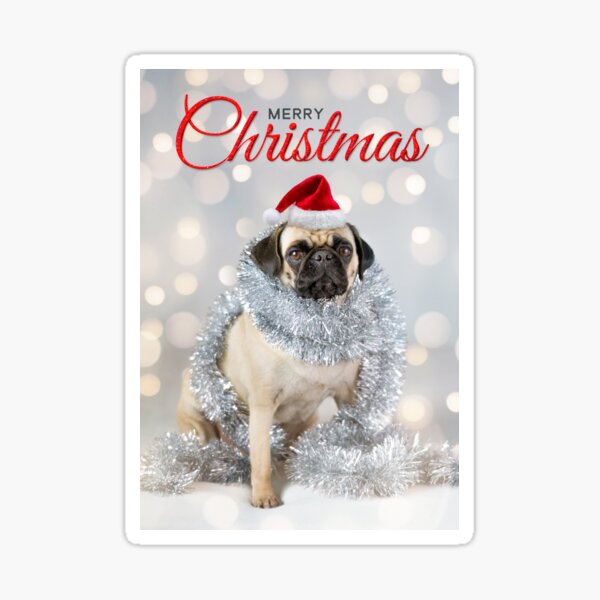 "Merry Christmas Pug Card" Sticker by itslolathepug | Redbubble