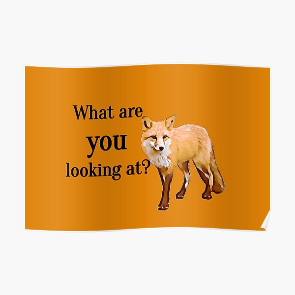 "Fox-Frage, was siehst du dir an? Süßer Fuchs, schöner Fuchs" Poster ...