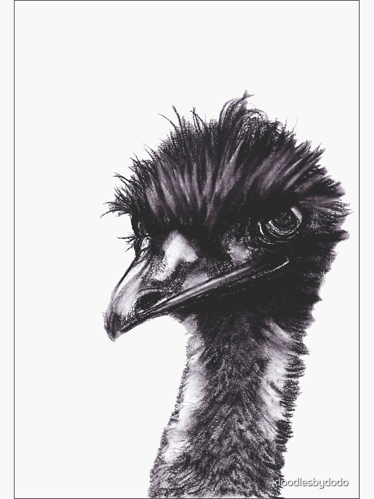 "Emu - Wise" Sticker by doodlesbydodo | Redbubble