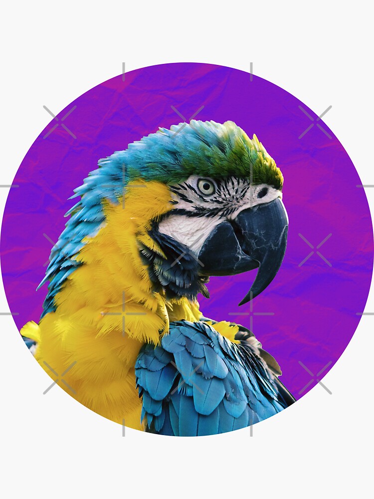 "Parrot on purple paper" Sticker for Sale by Mechalina | Redbubble