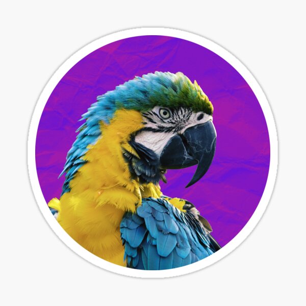 "Parrot on purple paper" Sticker for Sale by Mechalina | Redbubble