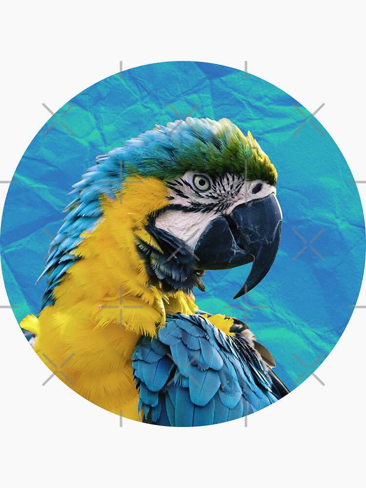 "Parrot on blue paper" Sticker for Sale by Mechalina | Redbubble