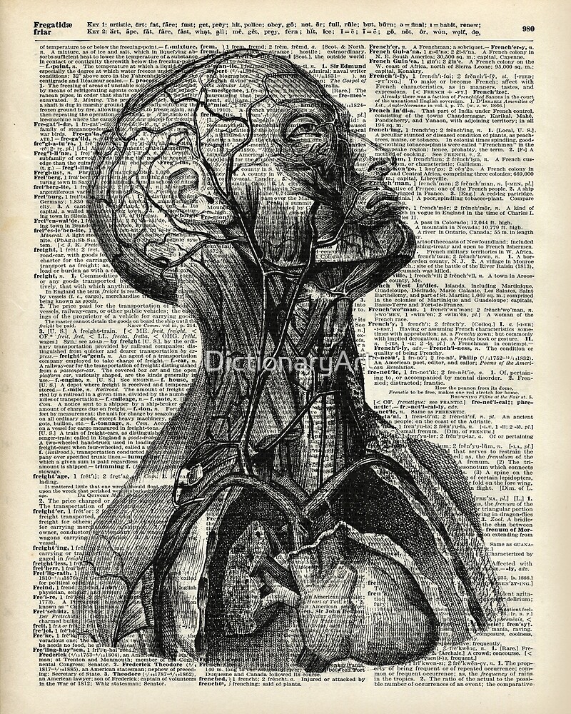 "Medical Human Anatomy Illustration Over Old Book Page" by ...