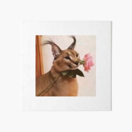 "Big Floppa" Art Board Print for Sale by Pacino44 | Redbubble