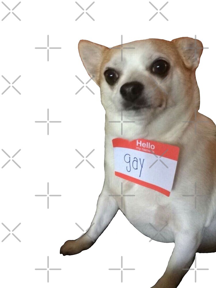Memes Soy Un Perro Soy Un Perro Song And Lyrics By Perro Nahual