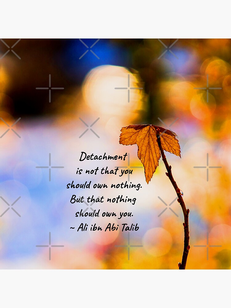 "Detachment" Sticker for Sale by Emilyromrell | Redbubble