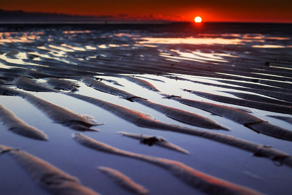 "Sunset at Low Tide Cape Cod" by Artist Dapixara | Redbubble