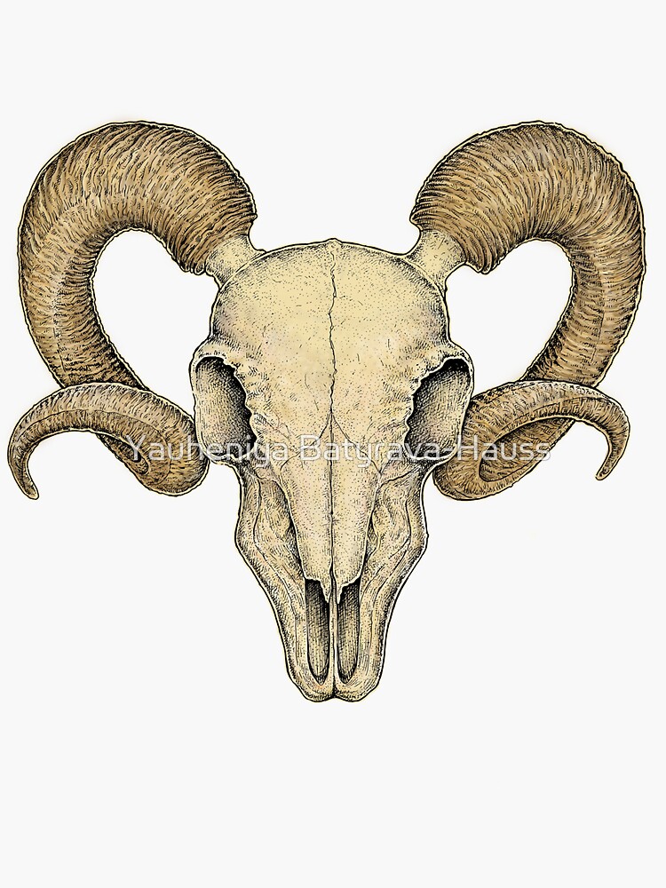 "The Ram Skull" Sticker for Sale by eugeniahauss | Redbubble