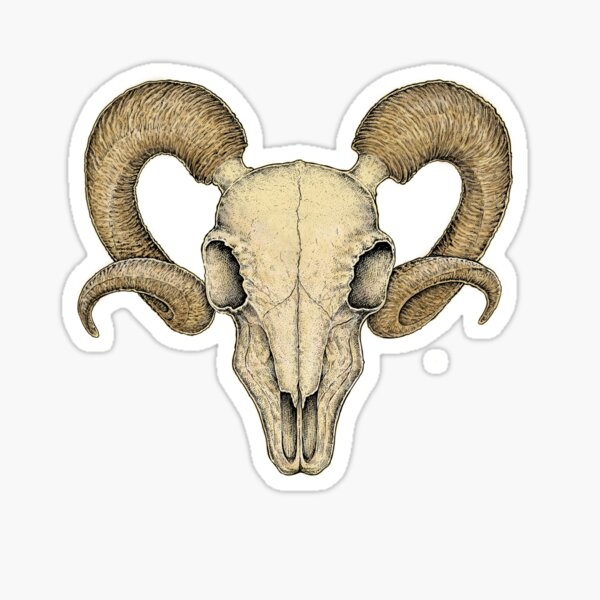 "The Ram Skull" Sticker for Sale by eugeniahauss | Redbubble