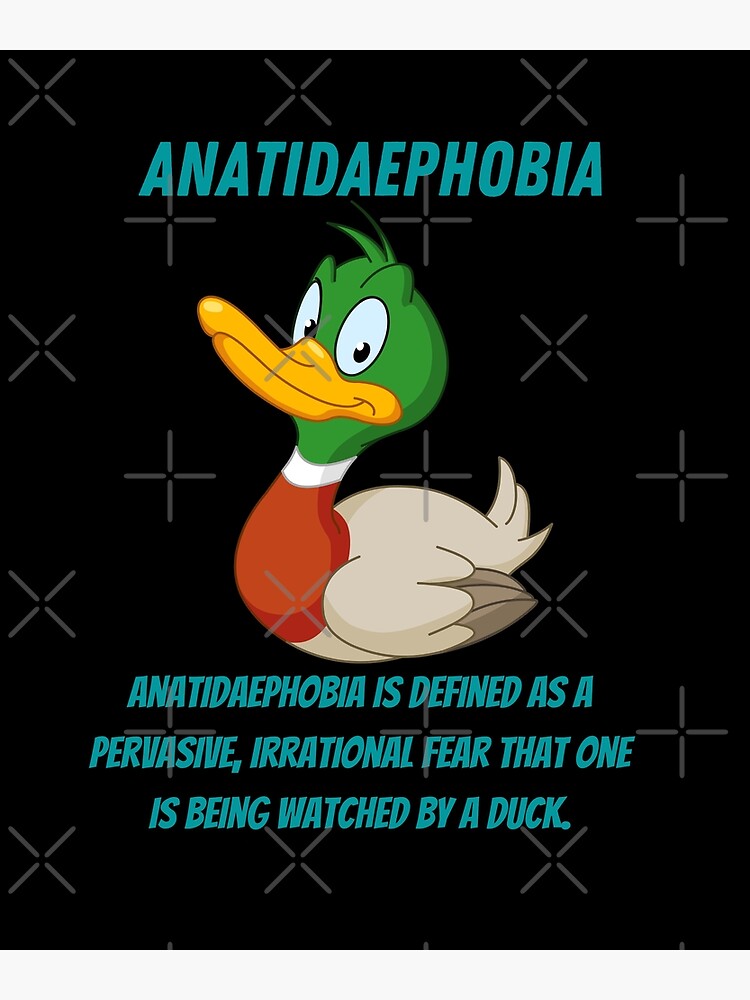 "Anatidaephobia" Photographic Print for Sale by Peter Stawicki | Redbubble