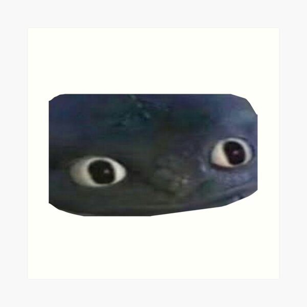 "Toothless Surprised Meme" Art Print for Sale by Vanir036 | Redbubble
